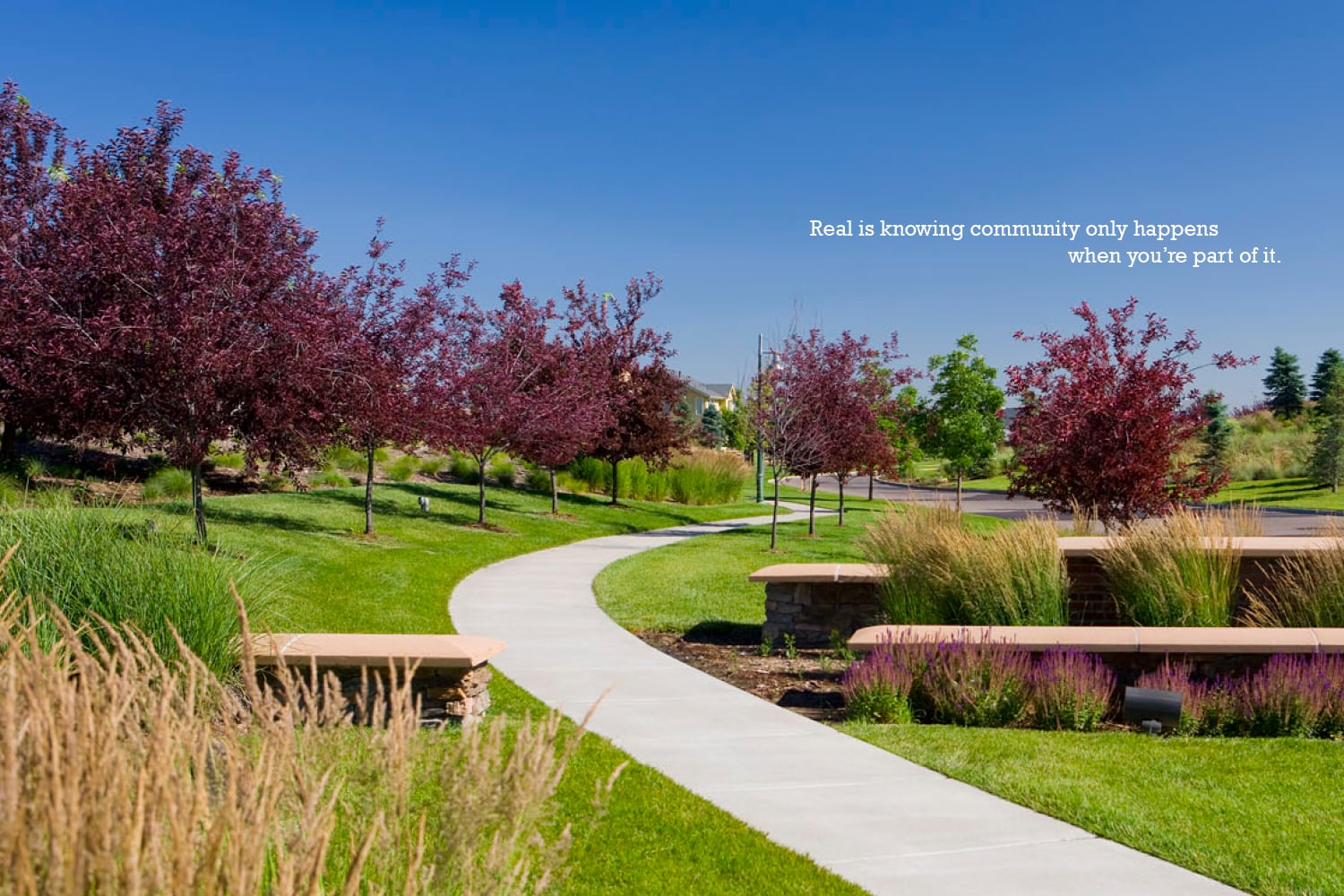 District Map - Reunion CO